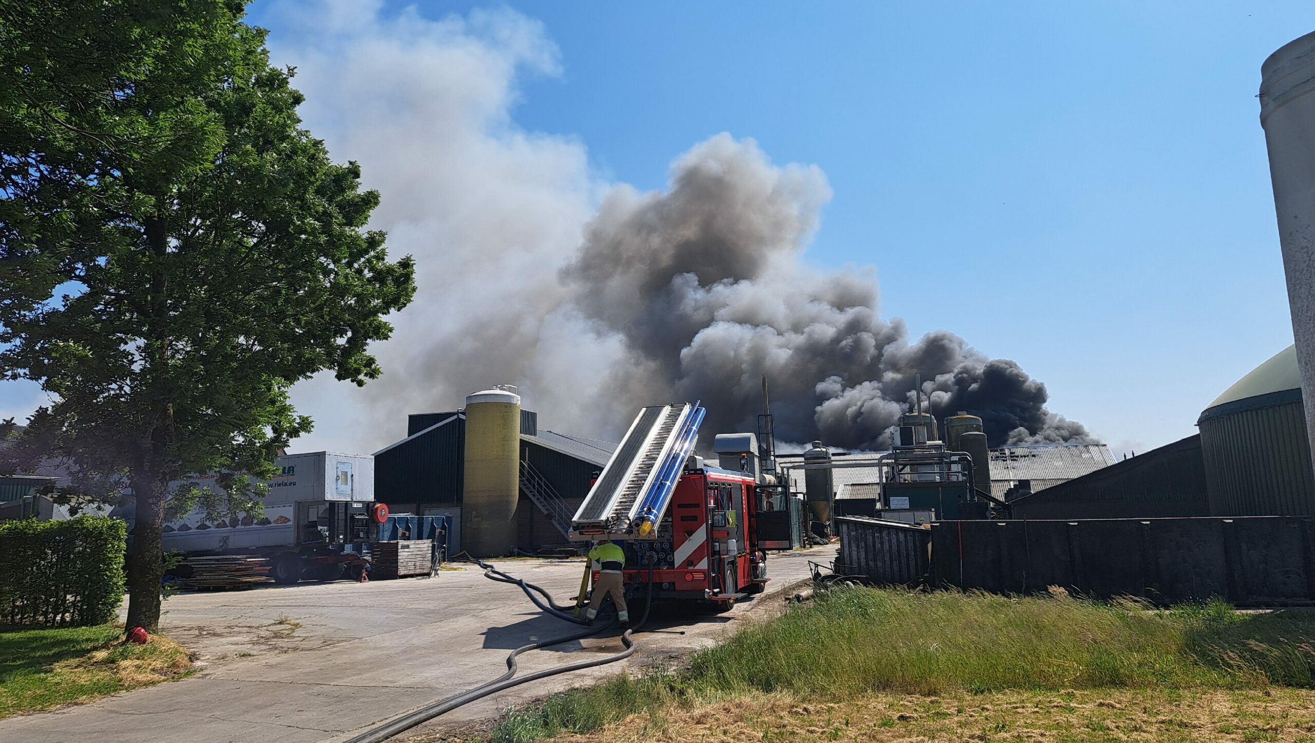 Zeer grote brand bij varkensfokkerij Hamletz in Beerta ...